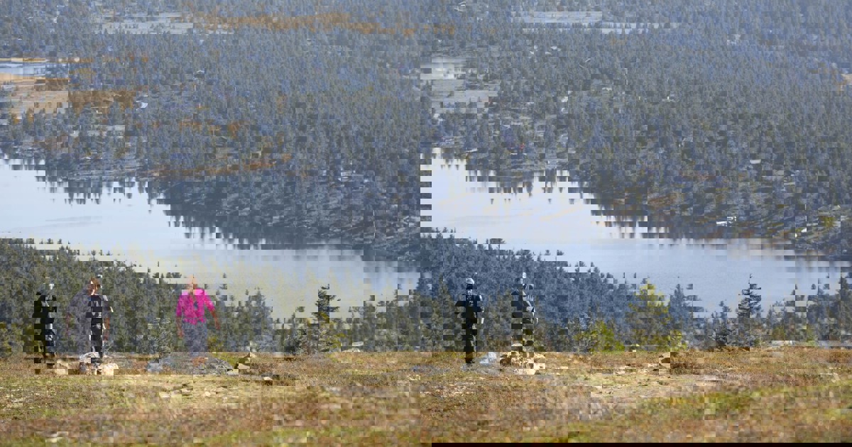 Sommerferie i Hafjell - Lej hytter og oplev Norges smukke fjeldnatur