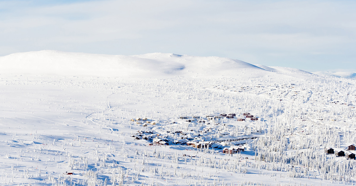 Snøhvit